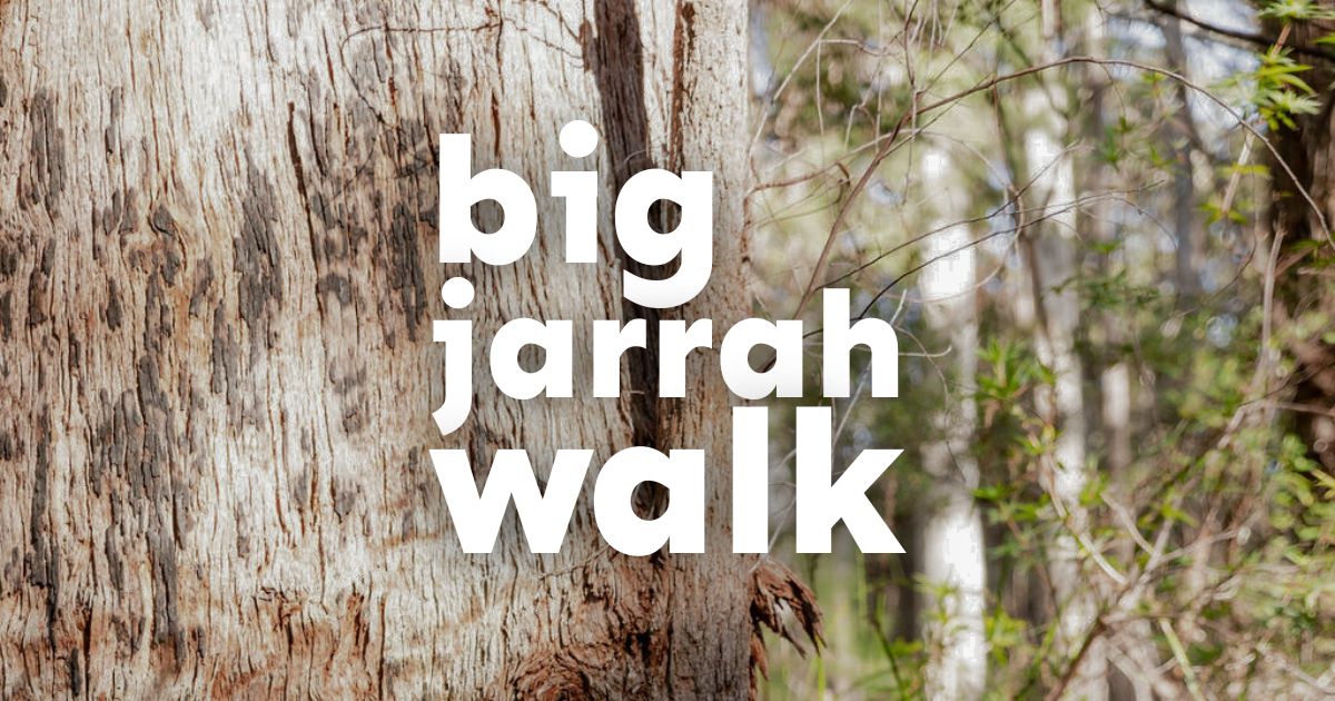 Big Jarrah Walk steps-out to stop mining of WA’s Northern Jarrah ...
